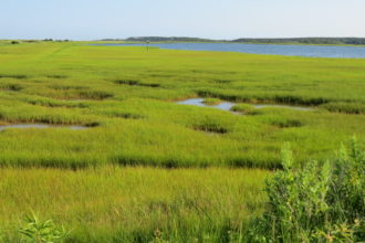 Visiting Chappaquiddick on the Island of Martha's Vineyard