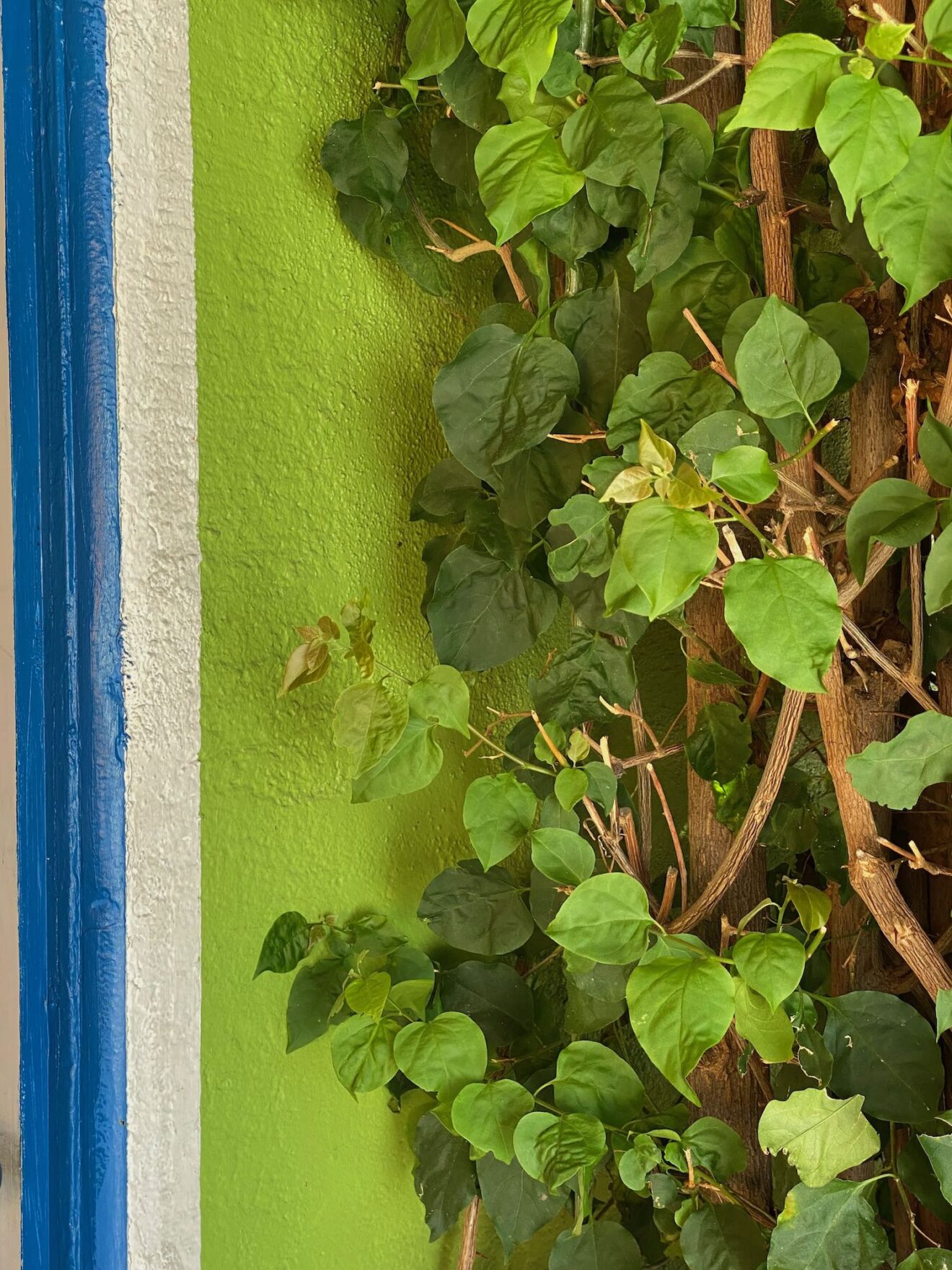 Colors That Will Make You Smile - Sea Salt and Sailor Stripes